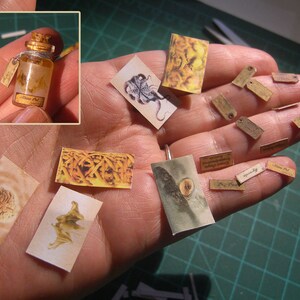 12 Miniature Specimen Labels for Tiny Bottles and Jars, With 24 Tags ...