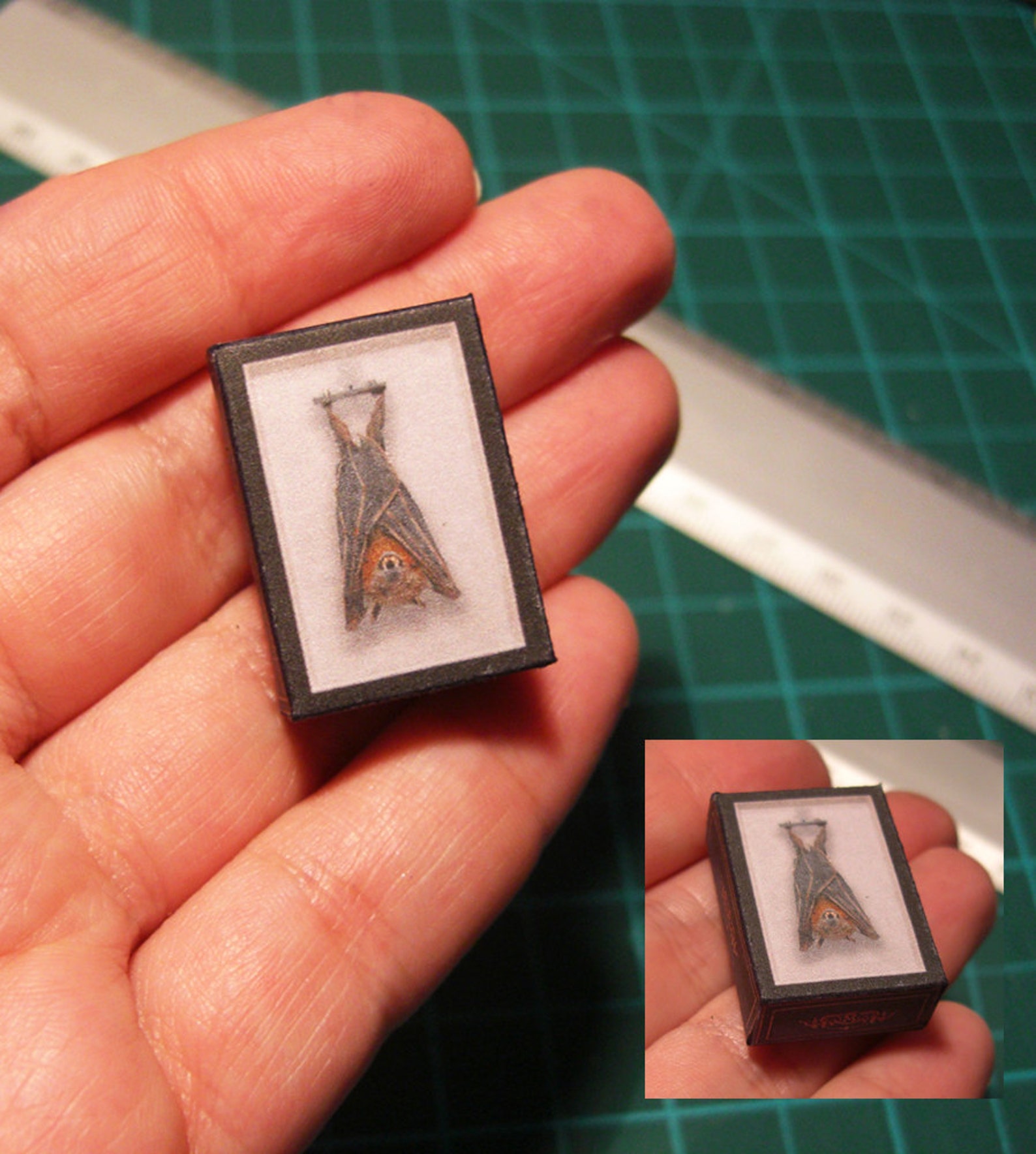 Miniature Hanging BAT SHADOW BOX . Taxidermy . Victorian Steampunk ...