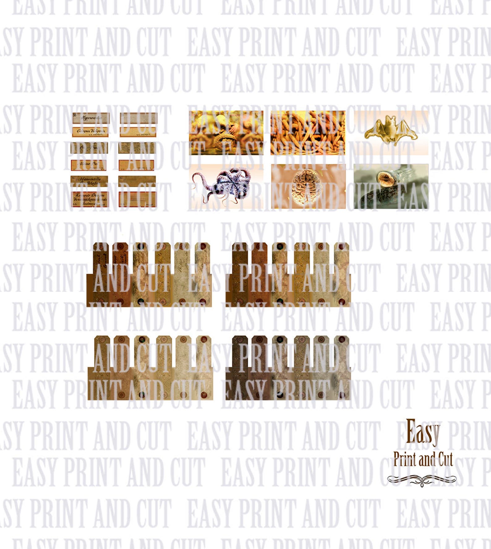 12 Miniature Specimen Labels for Tiny Bottles and Jars, With 24 Tags ...