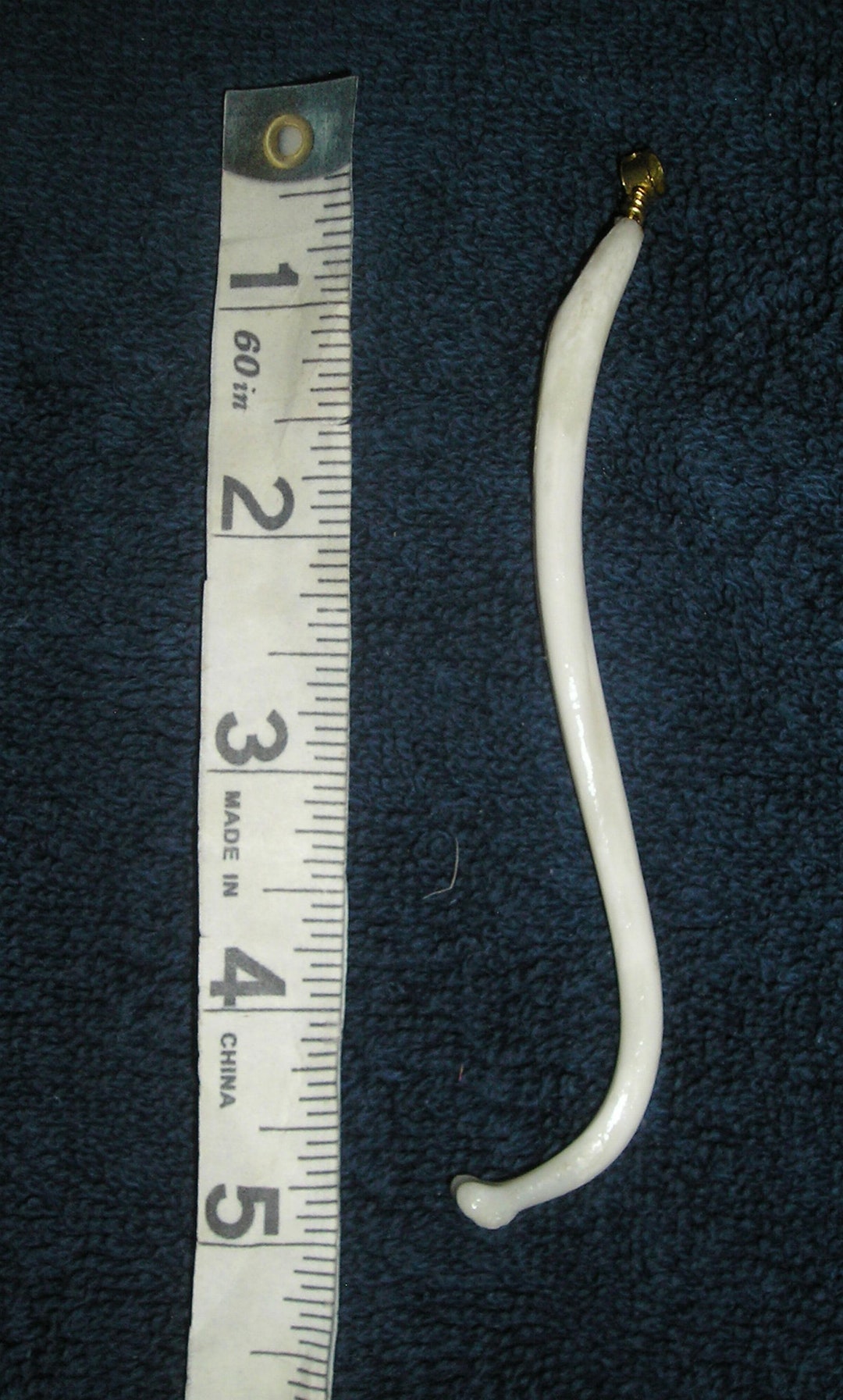 Raccoon Bone, Baculum Pendant - Etsy