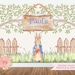 Peter Rabbit Backdrop, Bunny Birthday Backdrop, First Birthday, Baby ...