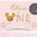 Minnie Mouse Welcome Sign Minnie Mouse Birthday Blush Pink - Etsy