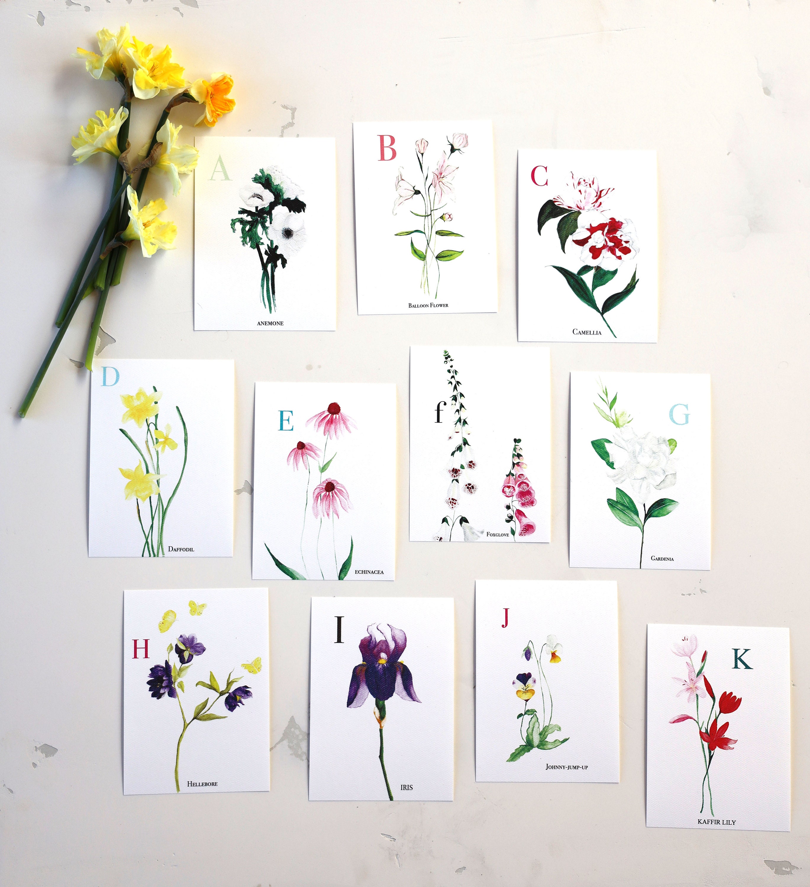 Flower Alphabet Card Set ABC Flash Cards Flower Alphabet - Etsy