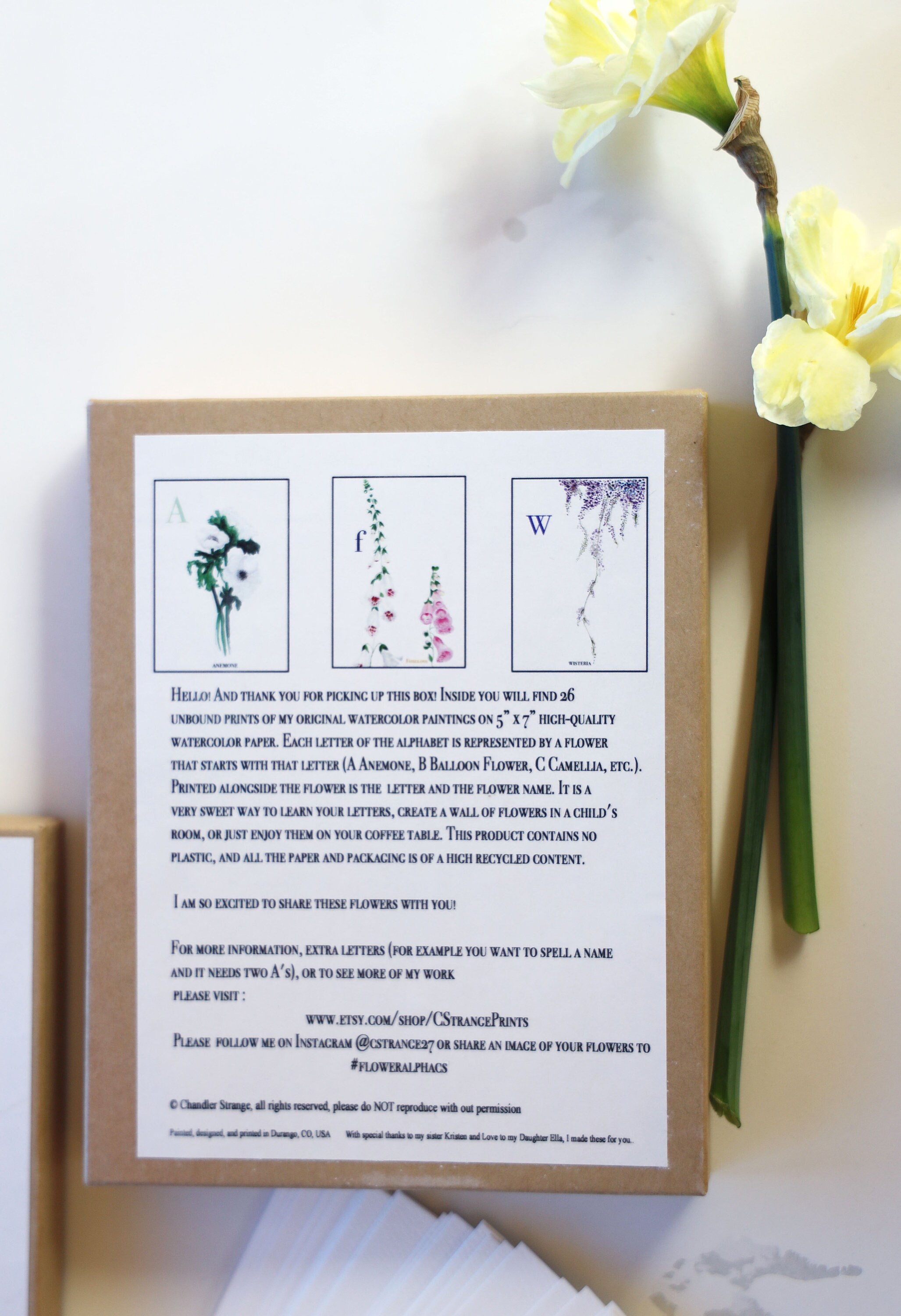 Flower Alphabet Card Set, ABC Flash Cards, Flower Alphabet Cards ...