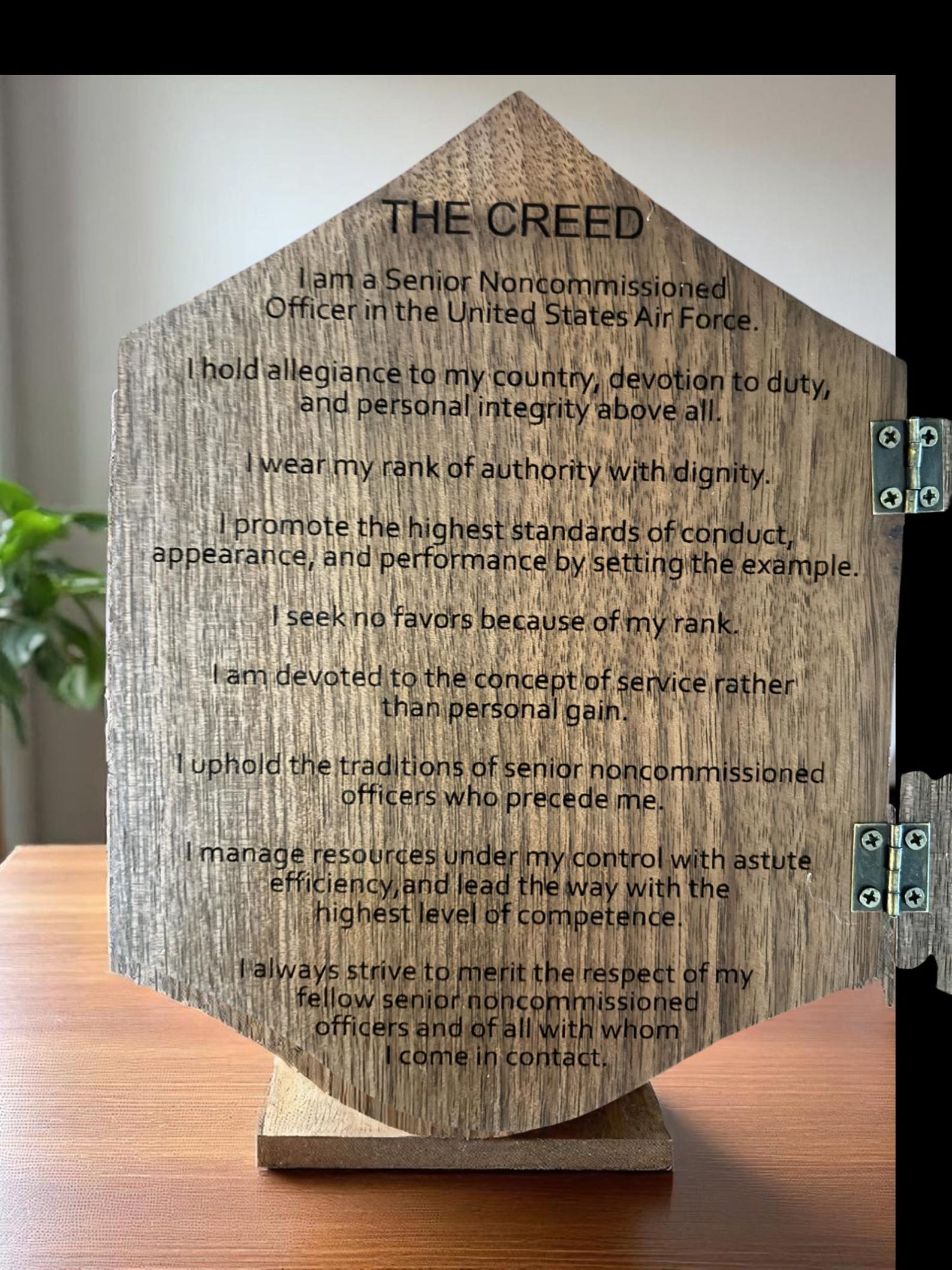 Custom Folding Wood Air Force Master Sergeant Plaque – Personalized ...