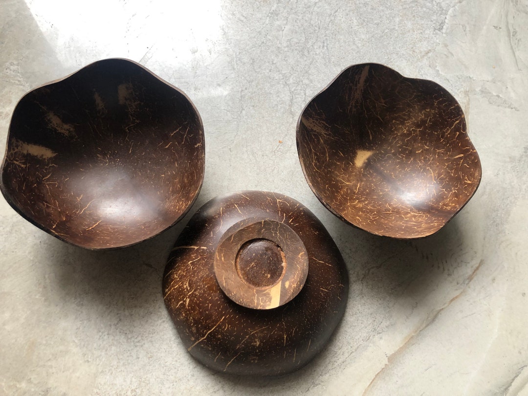 Eco Friendly Set of 3 Coconut Shell Bowls 100% Natural Beautiful Indian ...