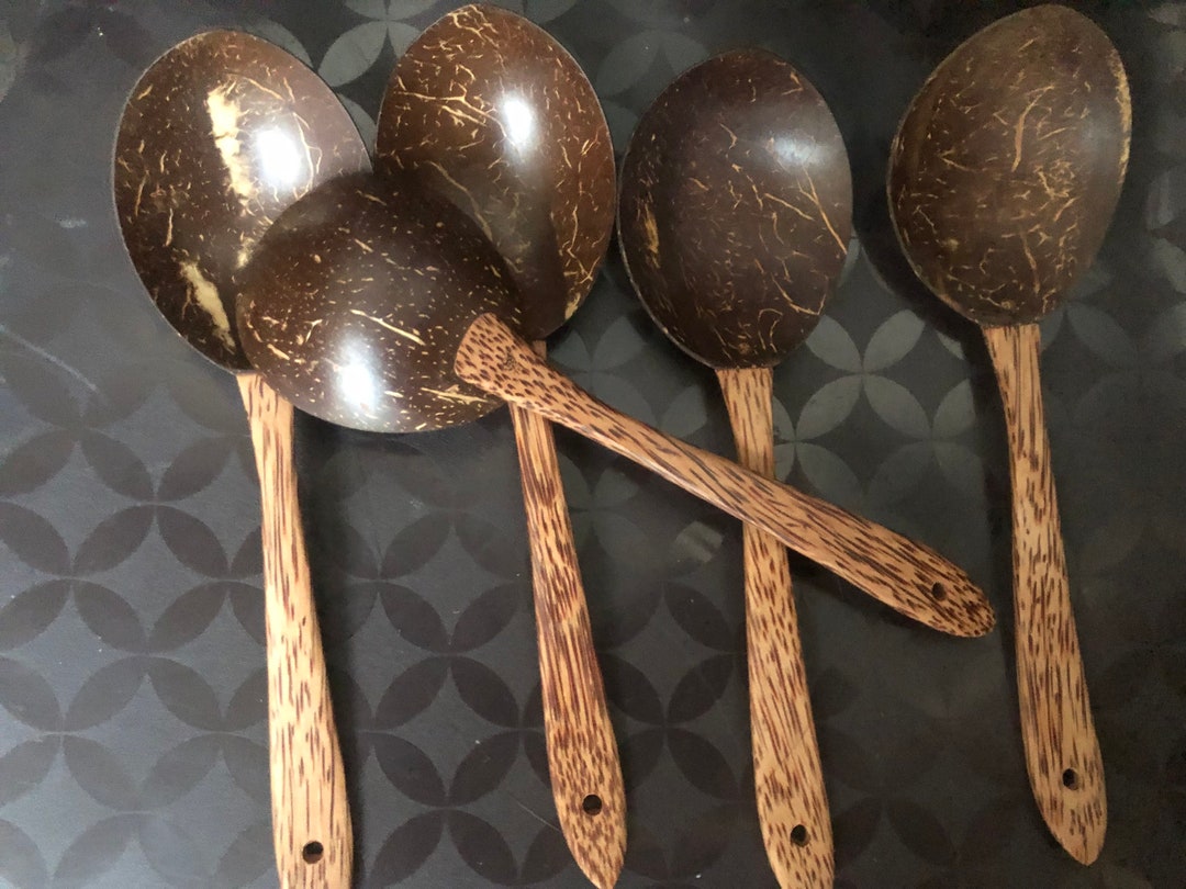 Coconut Shell Spoon Eco-friendly Set of 5 Coconut Shell Large - Etsy