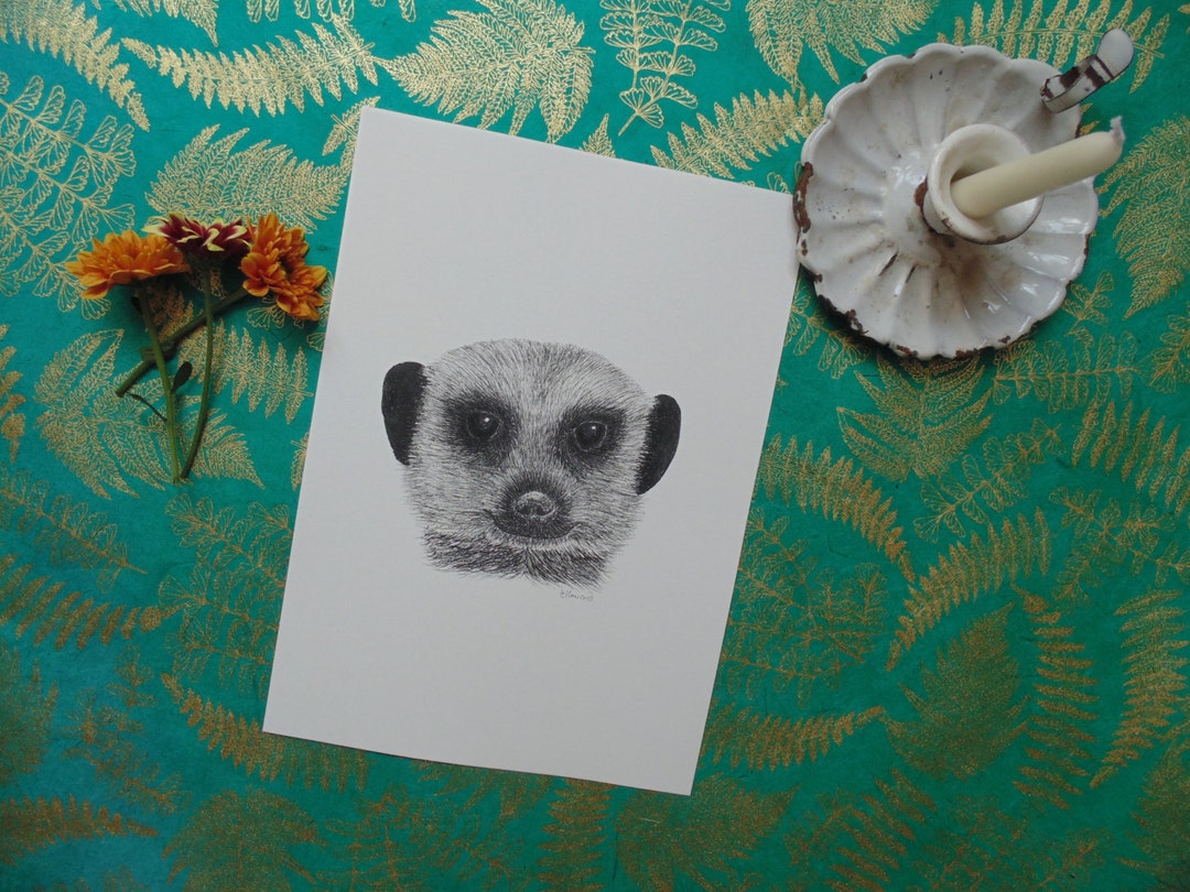 Meerkat Print - Etsy