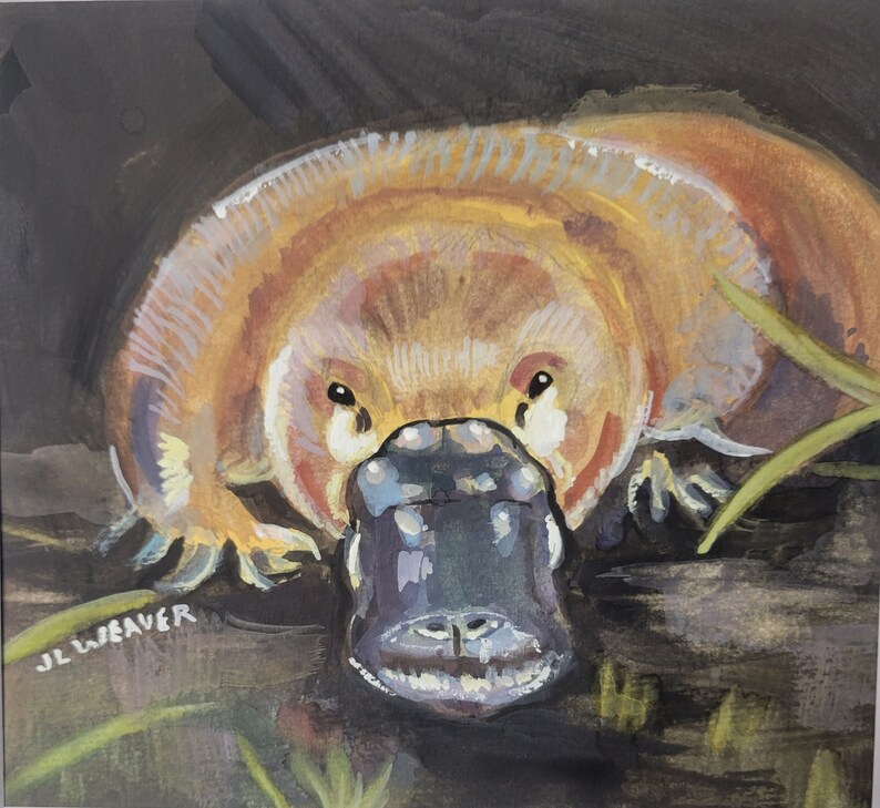 Platypus at Rest 2 Original Watercolor and Gouache Painting - Etsy