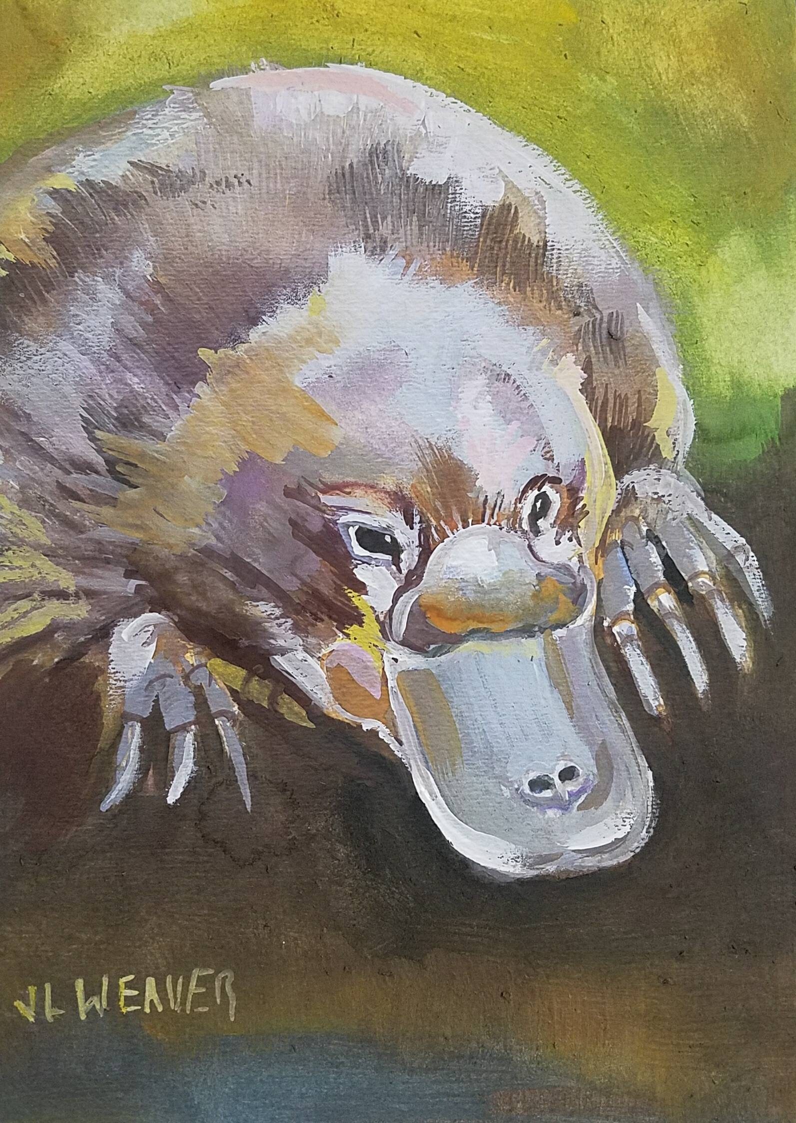 Platypus at Rest Original Watercolor and Gouache Painting - Etsy