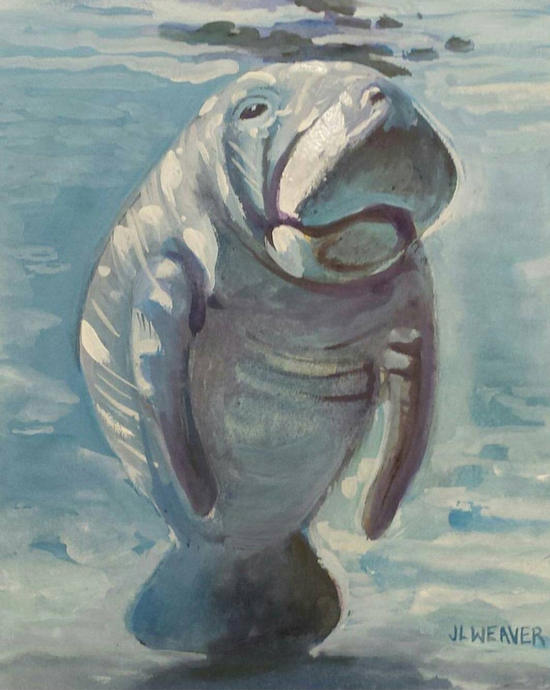 Silent Manatee Original Watercolor and Gouache Painting - Etsy