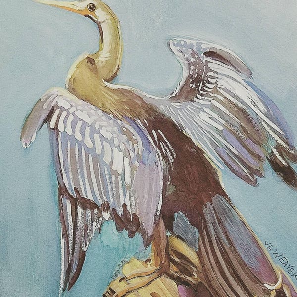 Anhinga - Etsy