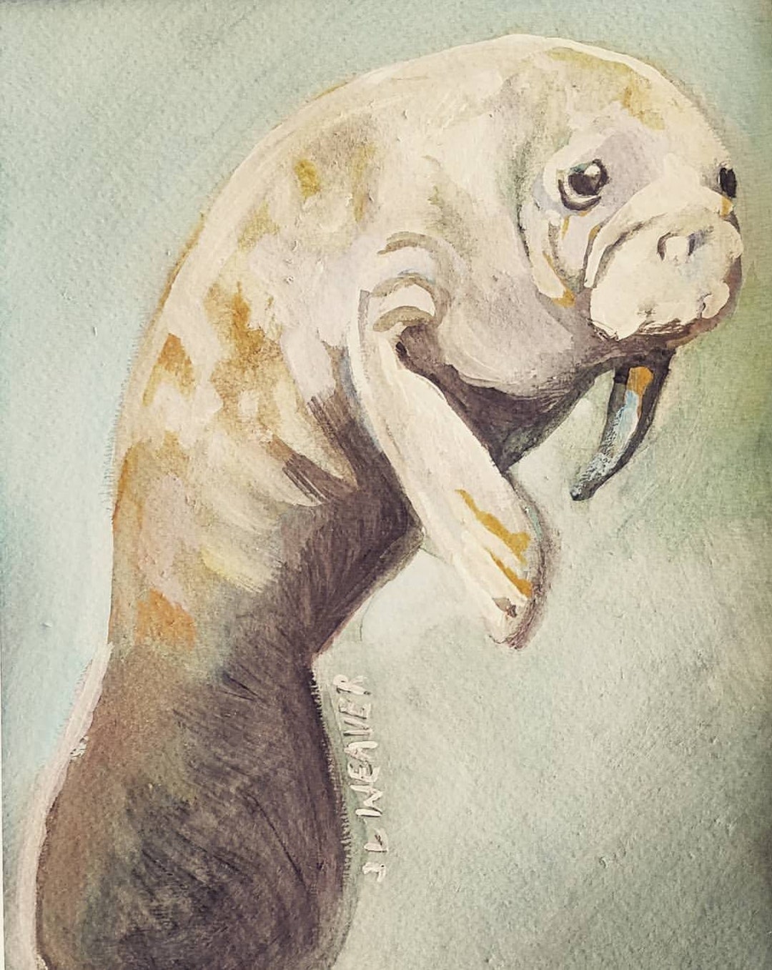 Underwater Manatee Original Watercolor and Gouache Painting - Etsy