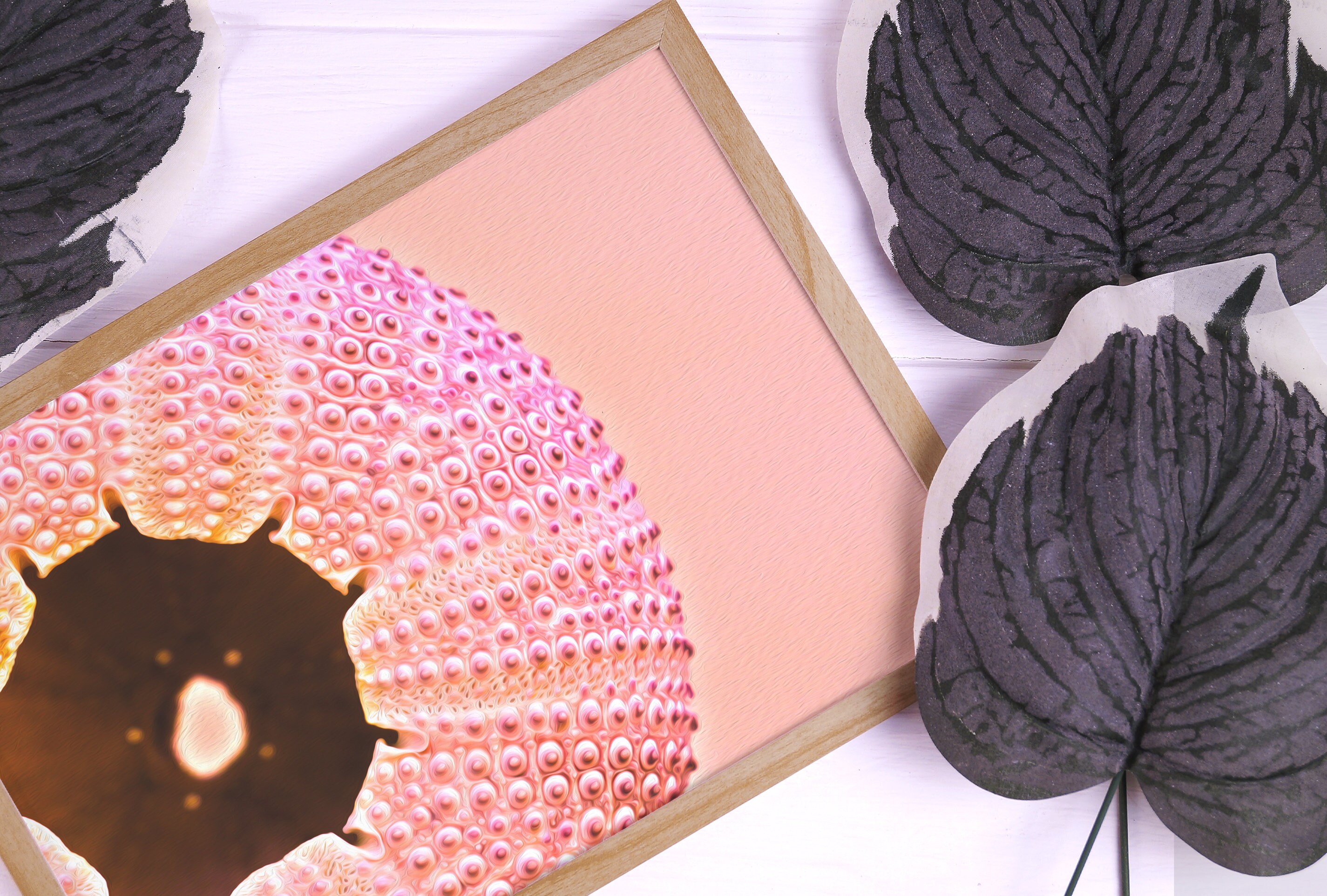 Purple And Pink Sea Urchin Art Print Wall Art Wall Decor Etsy purple-and-pink-sea-urchin-art-print-wall-art-wall-decor-etsy