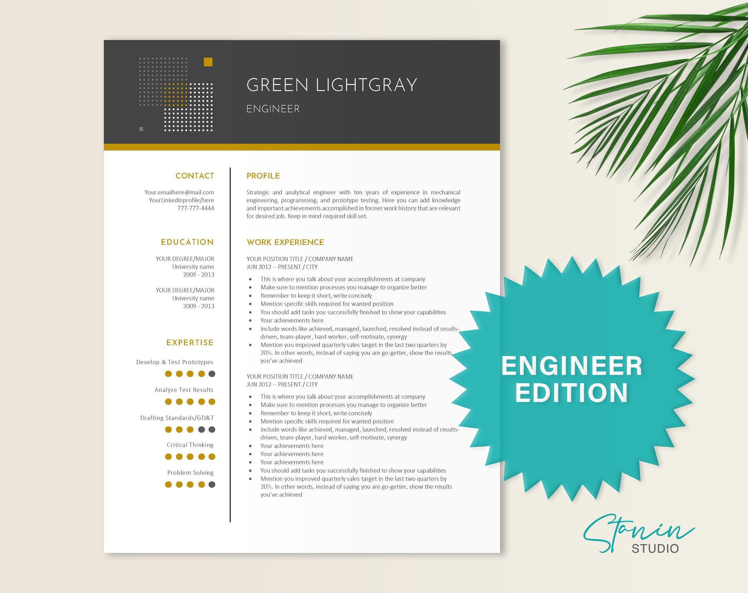 Engineer Resume Template CV Template Resume Writing Tips Modern Resume ...