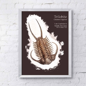 Trilobite Instant Printable, Gift for Science Fan, Instant Gift for ...