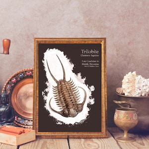 Trilobite Instant Printable, Gift for Science Fan, Instant Gift for ...