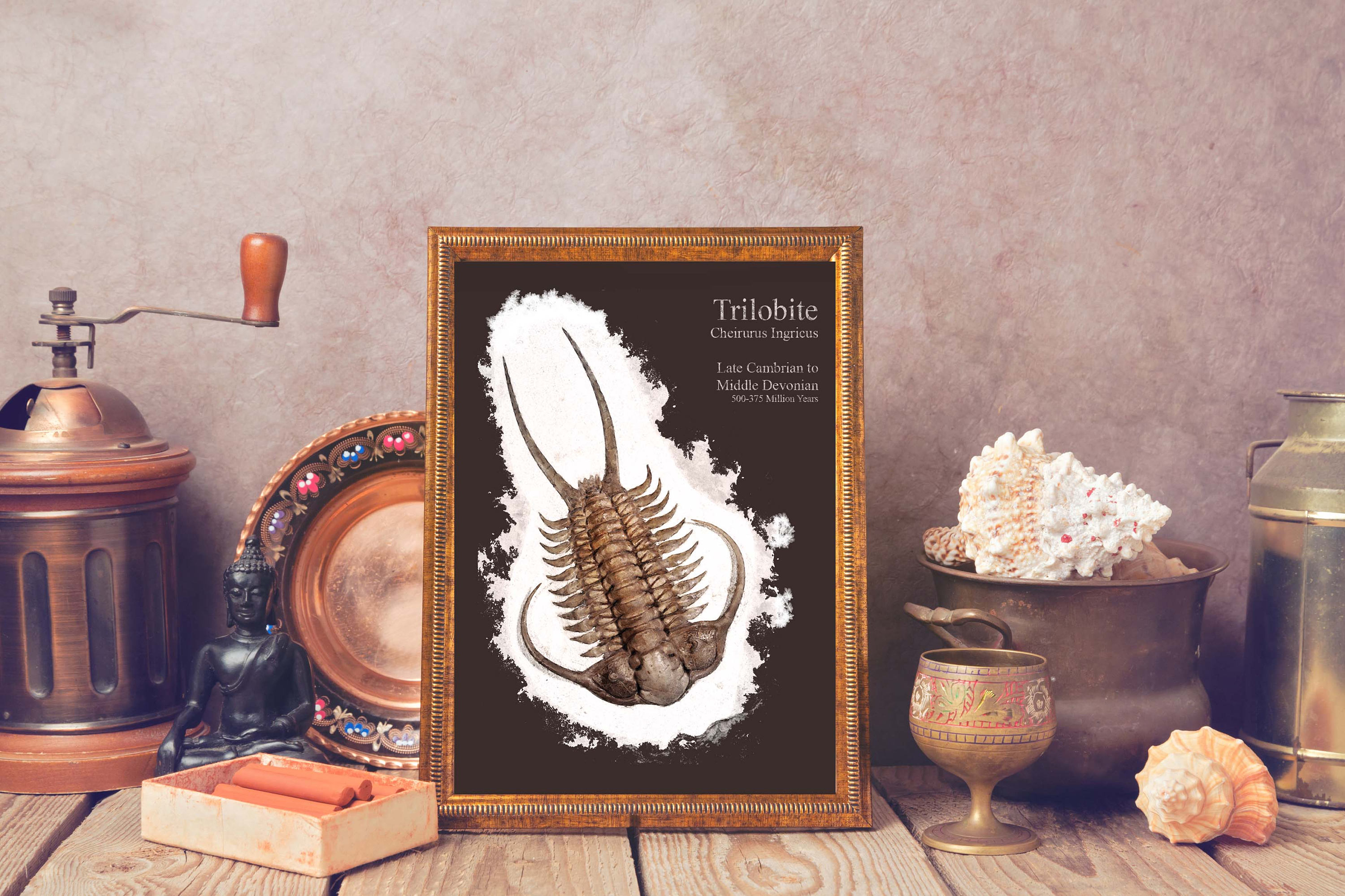 Trilobite Instant Printable Gift for Science Fan Instant - Etsy