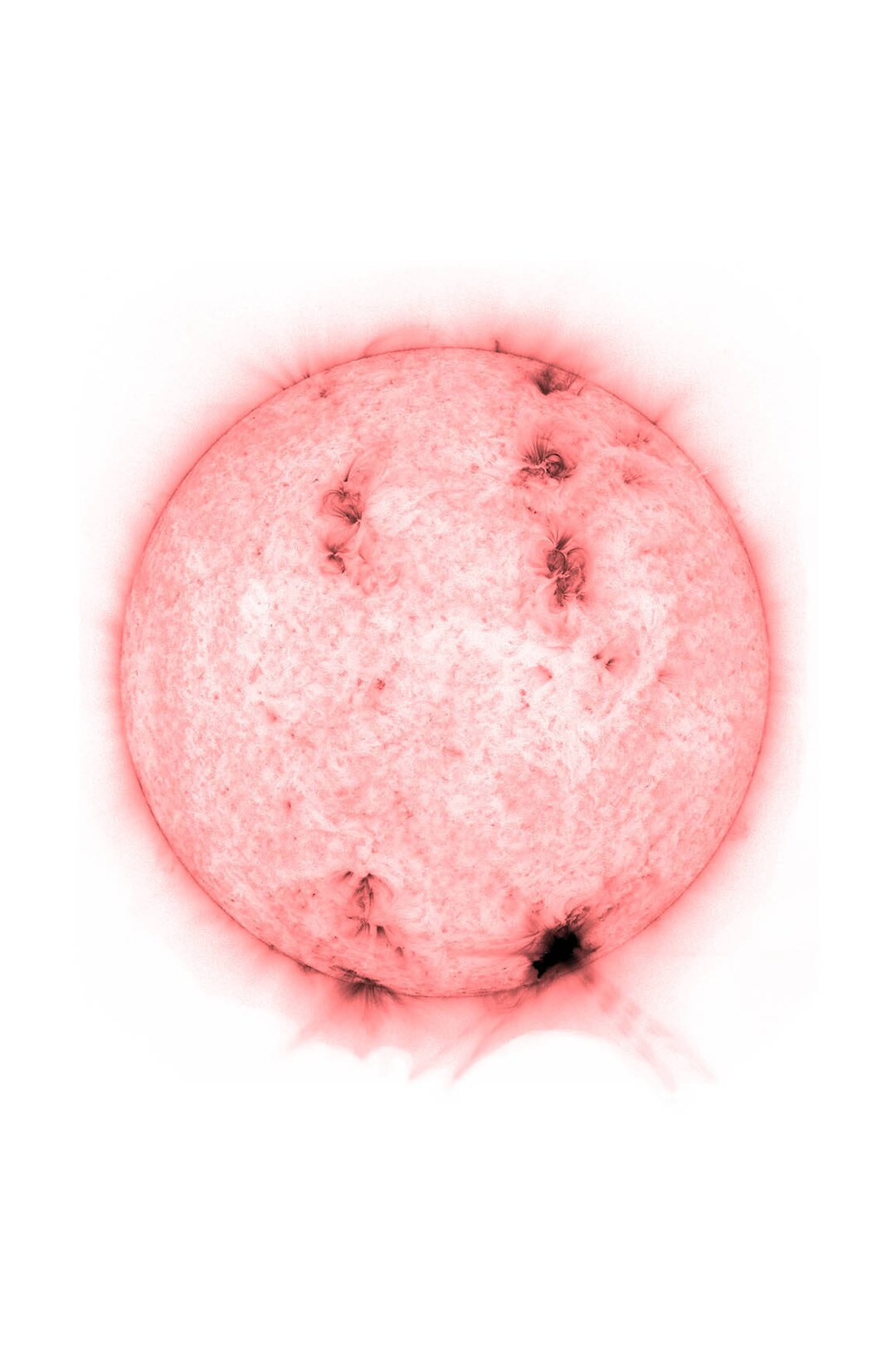 RED SCANDINAVIAN SUN Print Solar Print Pink Print Sun Solar - Etsy