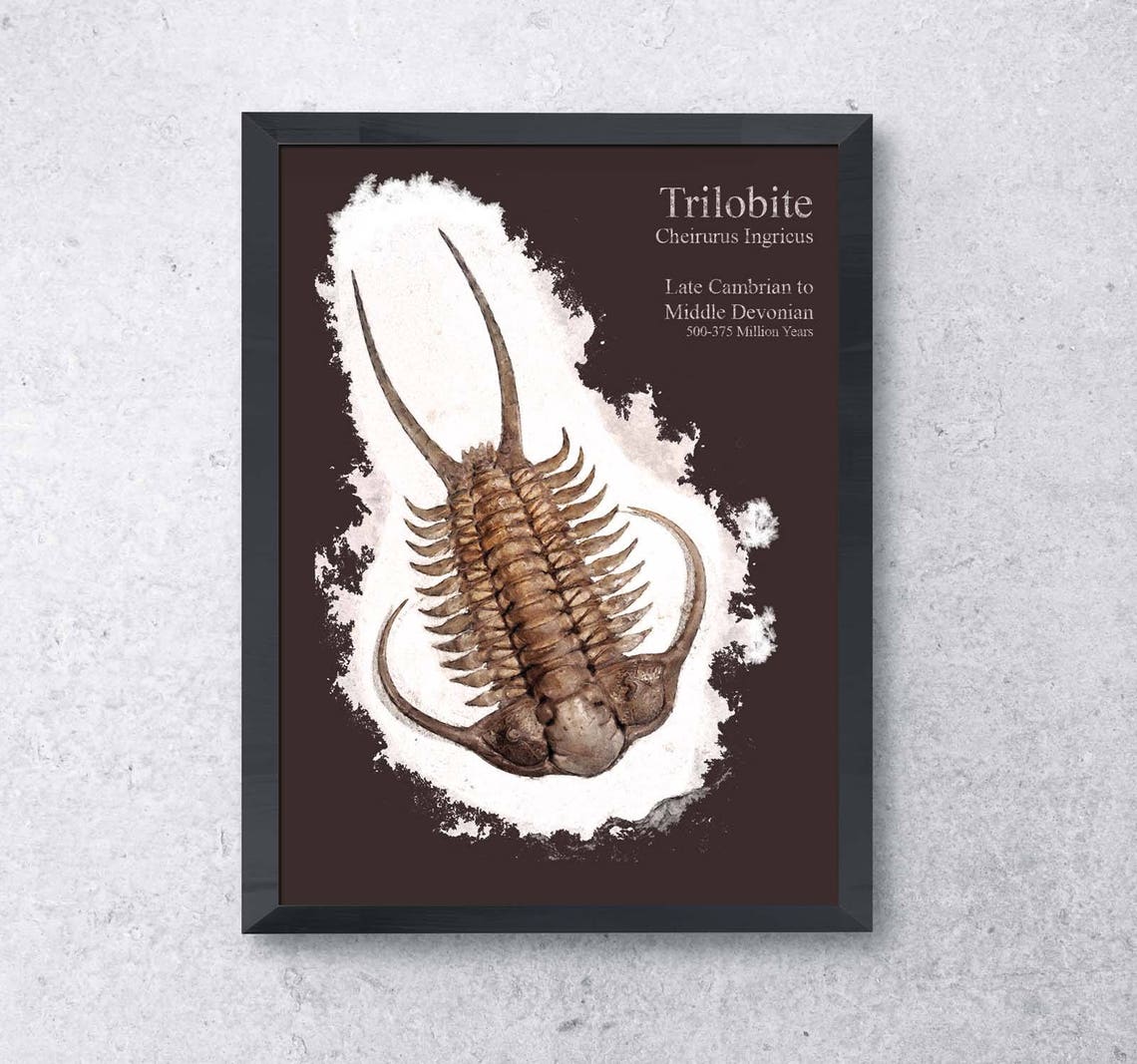 Trilobite Instant Printable Gift for Science Fan Instant - Etsy