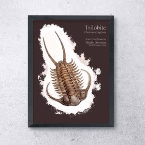 Trilobite Instant Printable, Gift for Science Fan, Instant Gift for ...