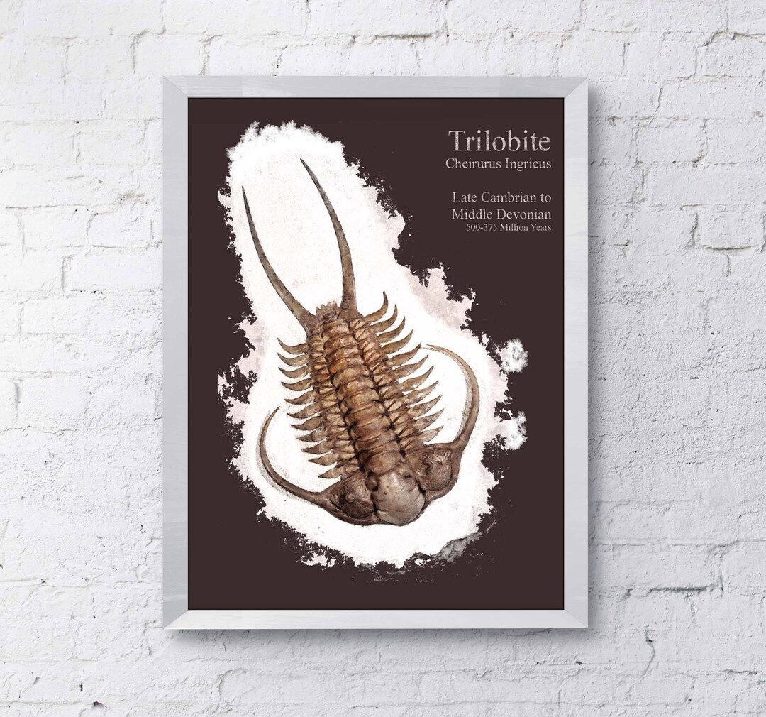 Trilobite Instant Printable, Gift for Science Fan, Instant Gift for ...