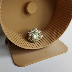 Six Inch Hermit Crab Wheel ! Deep Dish - Etsy