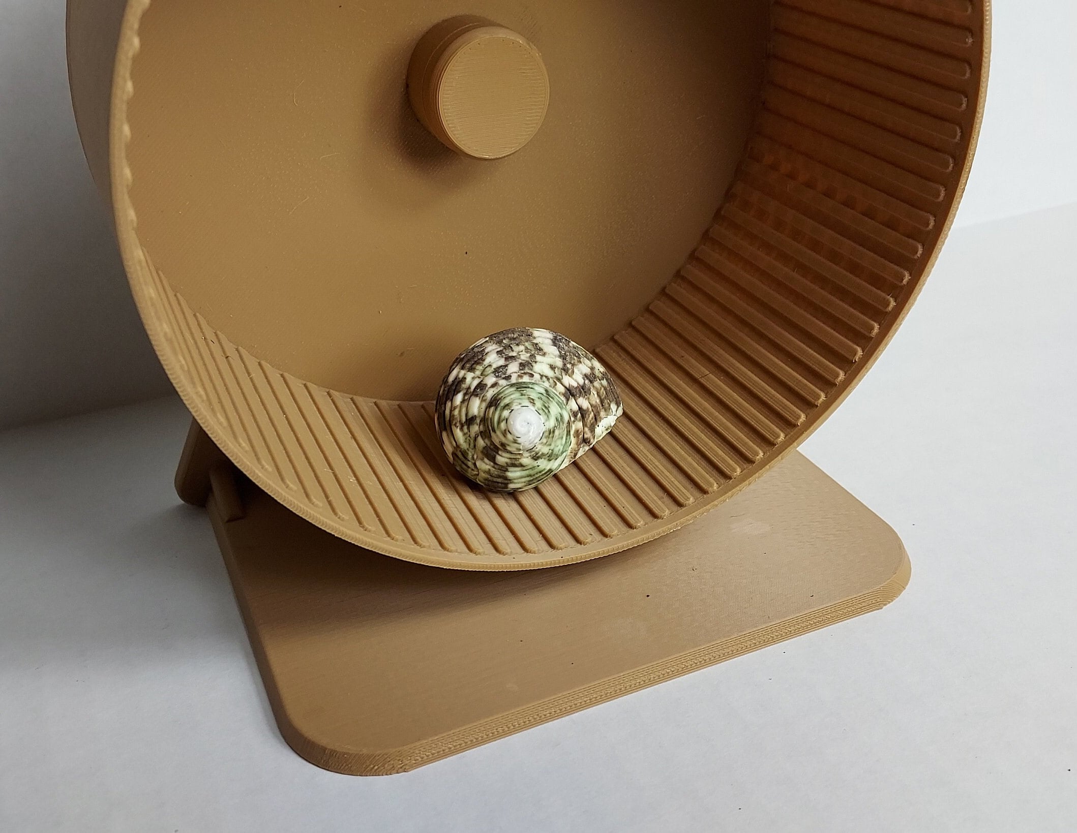 Six Inch Hermit Crab Wheel ! Deep Dish - Etsy