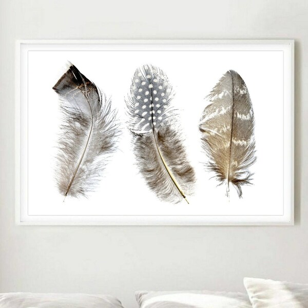 Large Feather Art - Etsy