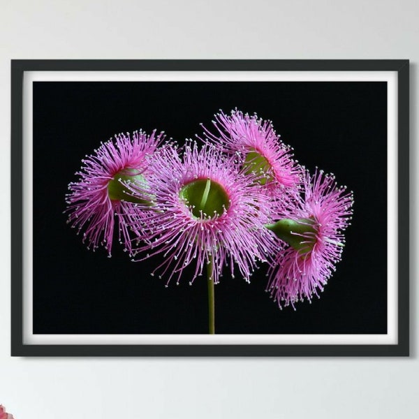 Dramatic Flower - Etsy