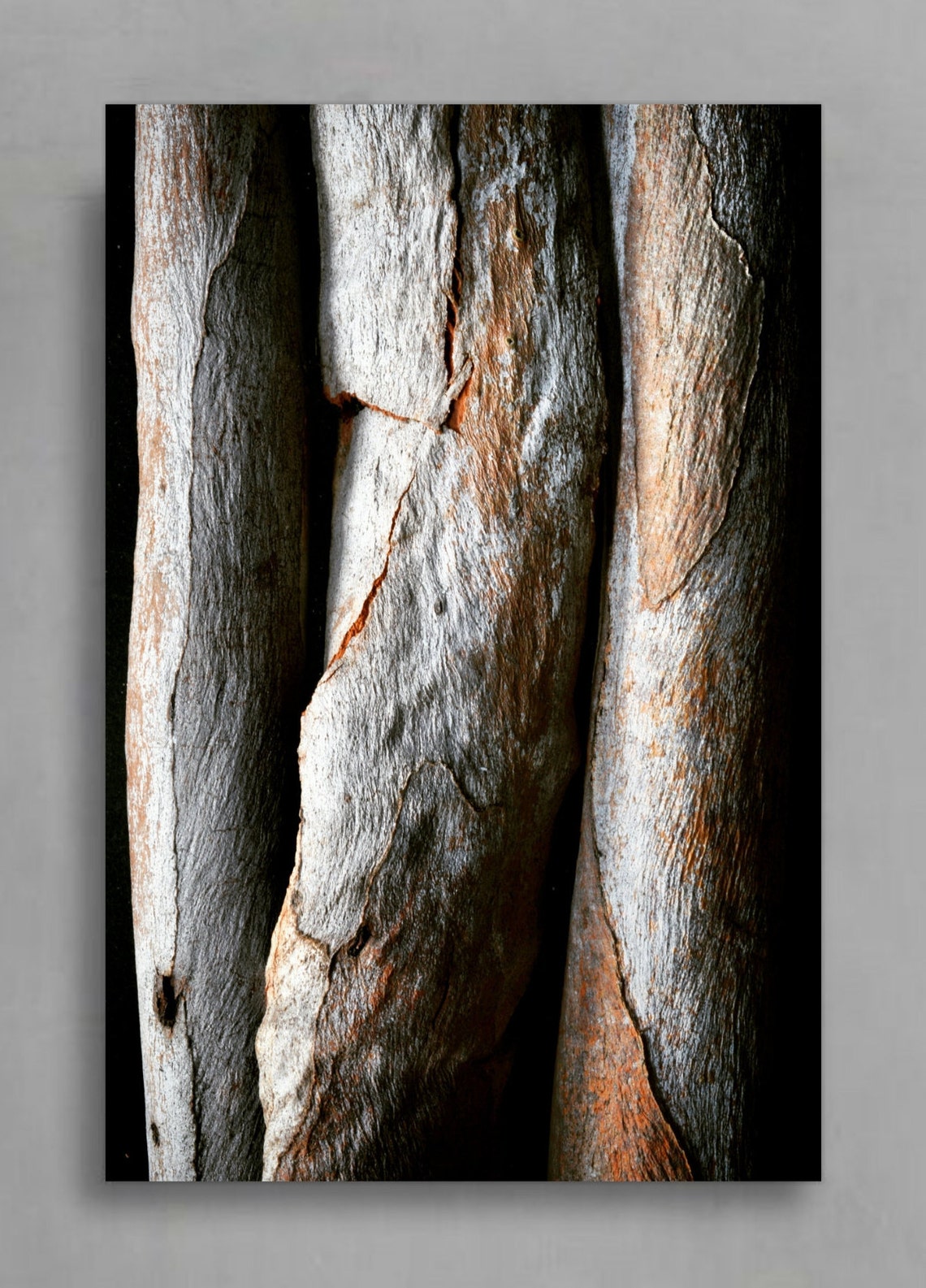Set of 3 Printable Tree Bark Photos Downloadable Abstract - Etsy