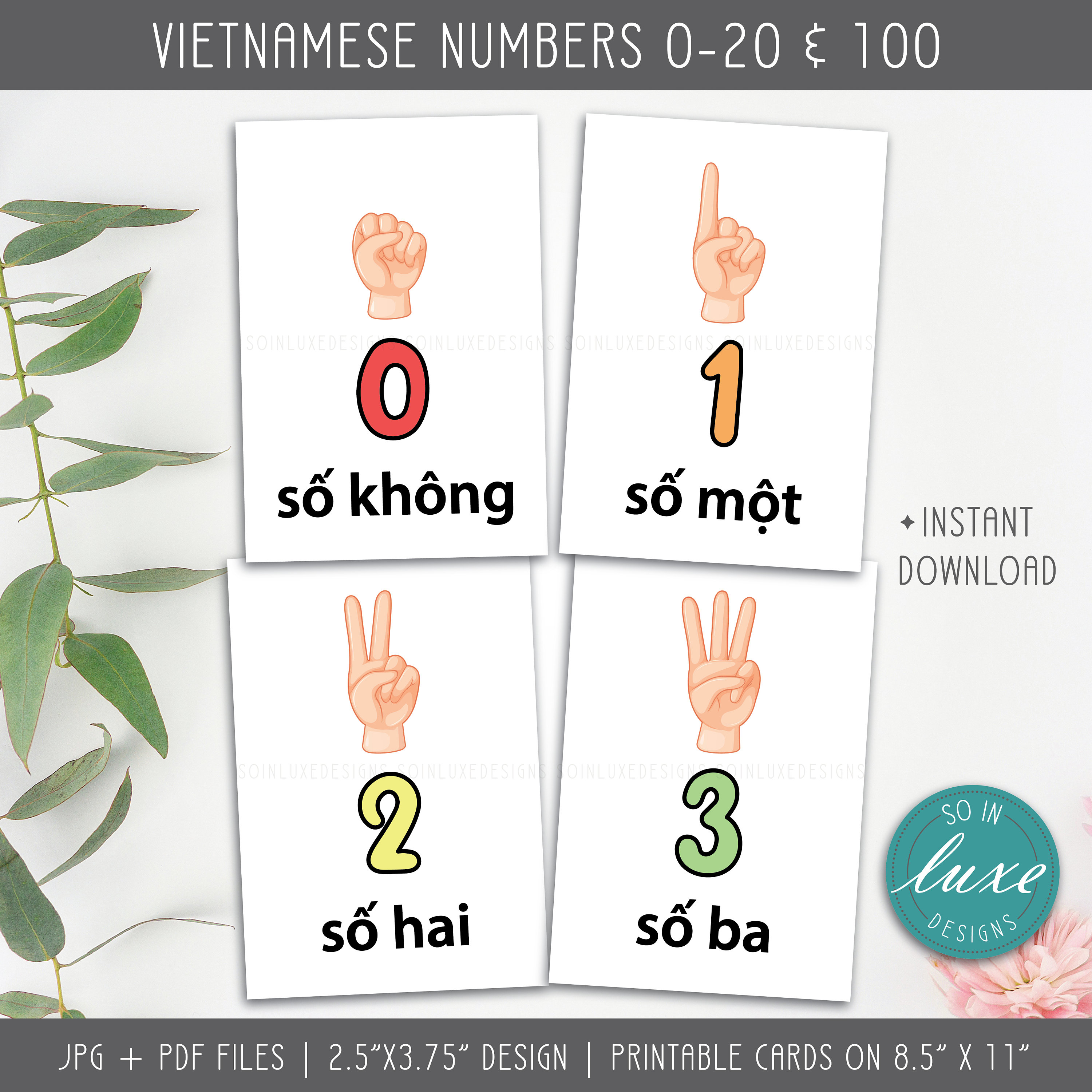 Vietnamese Numbers | Number Counting, Count, Flash Cards, Learn ...