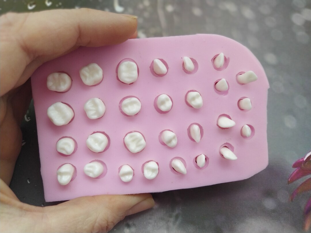 Fake Human Teeth Tooth Mould Silicone Mold Dentist Dental Teeth Dentist ...