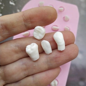 Fake Human Teeth Tooth Mould Silicone Mold Dentist Dental Teeth Dentist ...