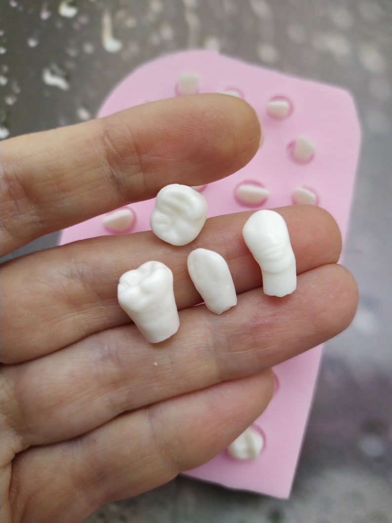 Fake Human Teeth Tooth Mould Silicone Teeth Mold Dentist Mould - Etsy