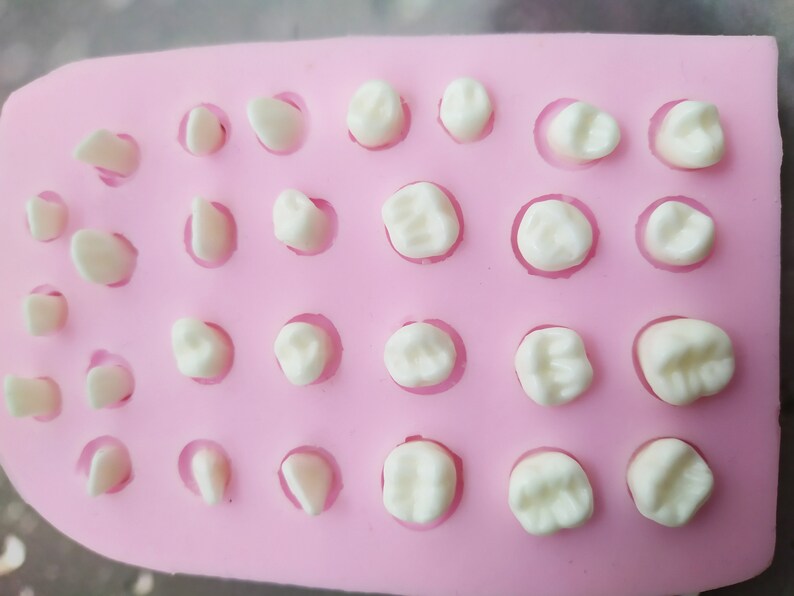 Fake Human Teeth Tooth Mould Silicone Teeth Mold Dentist Mould - Etsy