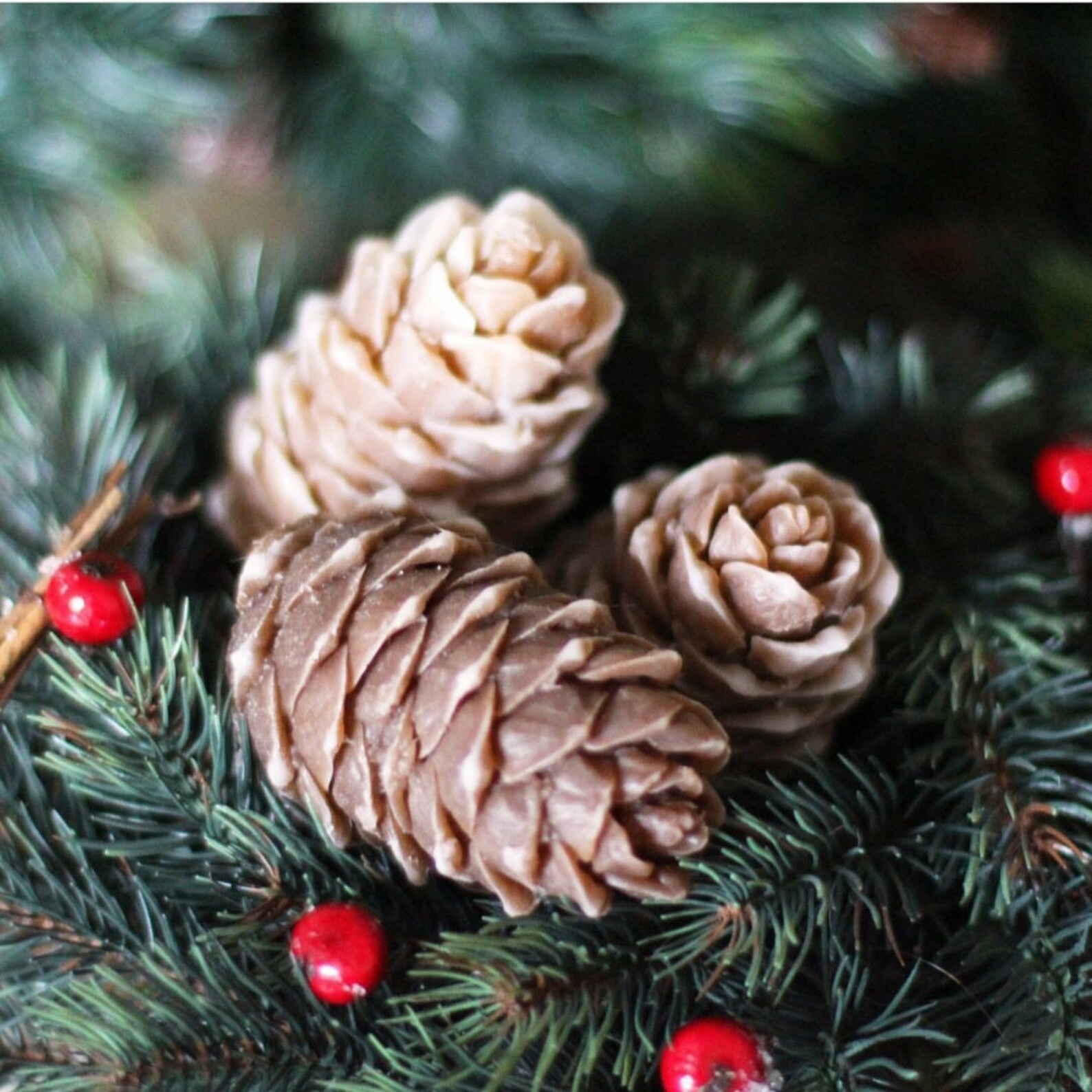 3d Forest Cones Mold Real Cone Mold Pine Cone Mold Candle Mold | Etsy