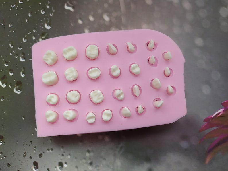 Fake Human Teeth Tooth Mould Silicone Teeth Mold Dentist Mould - Etsy