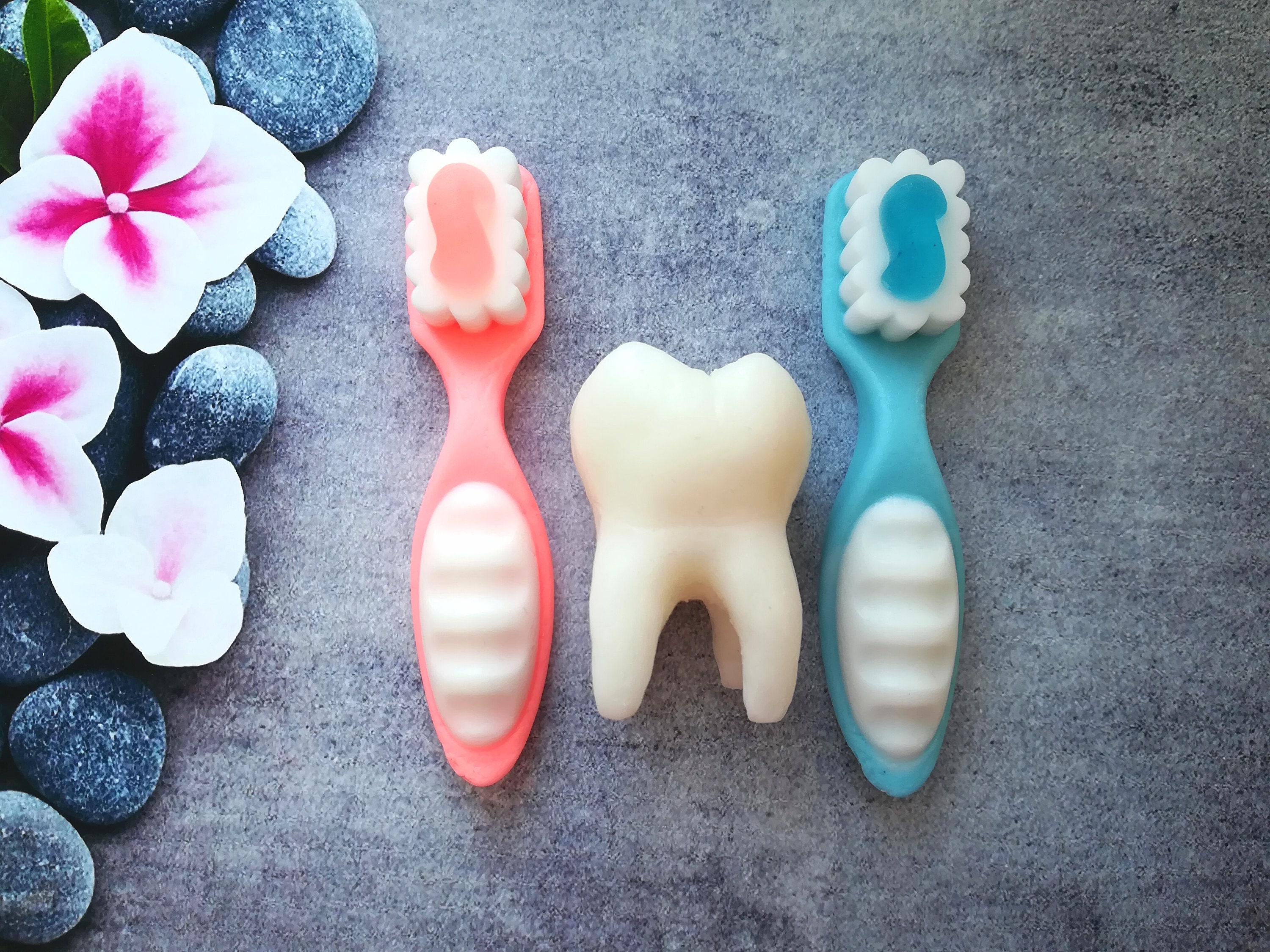 Tooth Mold Toothbrush Mold Hygiene Silicone Mold for Soap - Etsy