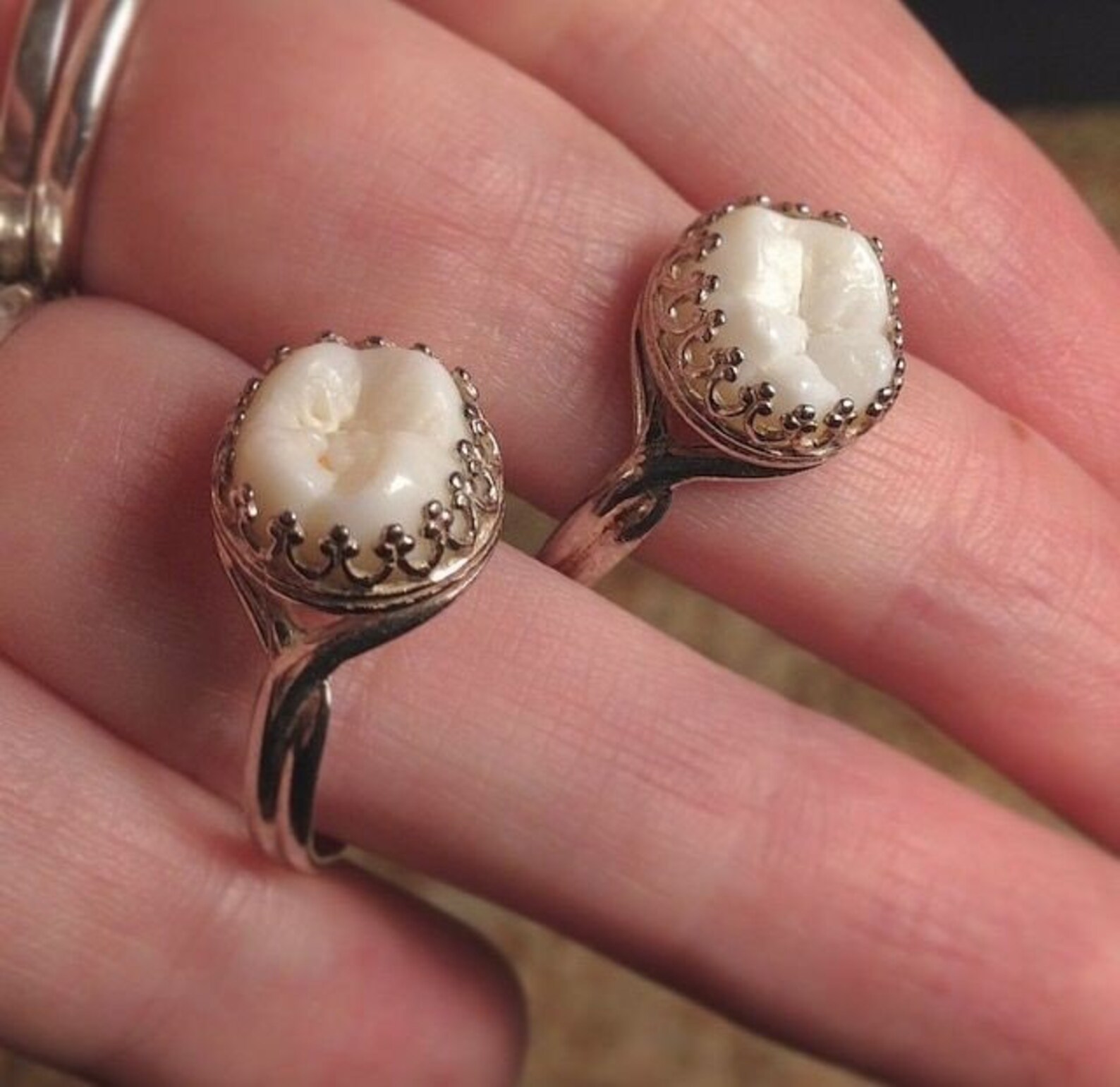 Fake Human Teeth Tooth Mould Silicone Teeth Mold Dentist Mould | Etsy