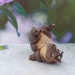 Hippo Mold 3d Silicone Mold 3d Animal Soap Mold 3d Hippopotamus Mold ...