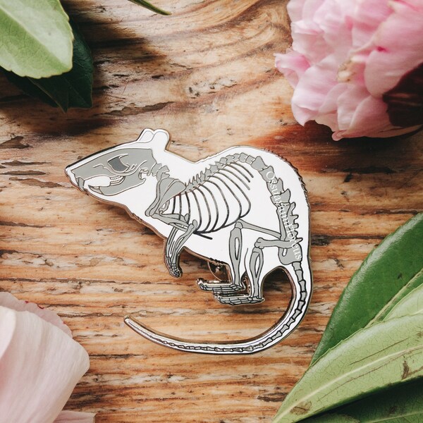 Rat Skeleton - Etsy