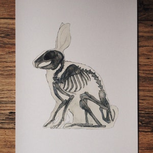 Easter Bunny Skeleton Print: Unique Rabbit Anatomy Artwork, Medical ...