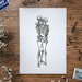 Skeleton Kiss Postcard: Anatomy Card Love Forever Unique - Etsy