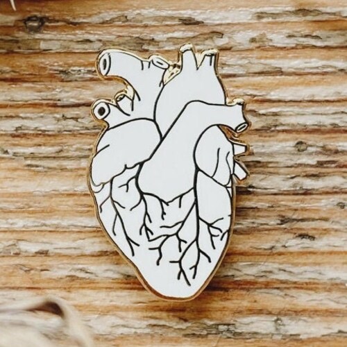 Set of Anatomical Human Heart Enamel Pin: Medical Anatomy Pin - Etsy