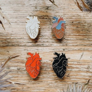 Set of Anatomical Human Heart Enamel Pin: Medical Anatomy Pin | Etsy