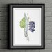 Spine With Grapes Print: Backbone Skeleton, Human Anatomy, Watercolor ...