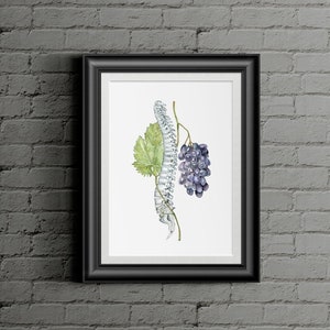 Spine With Grapes Print: Backbone Skeleton, Human Anatomy, Watercolor ...