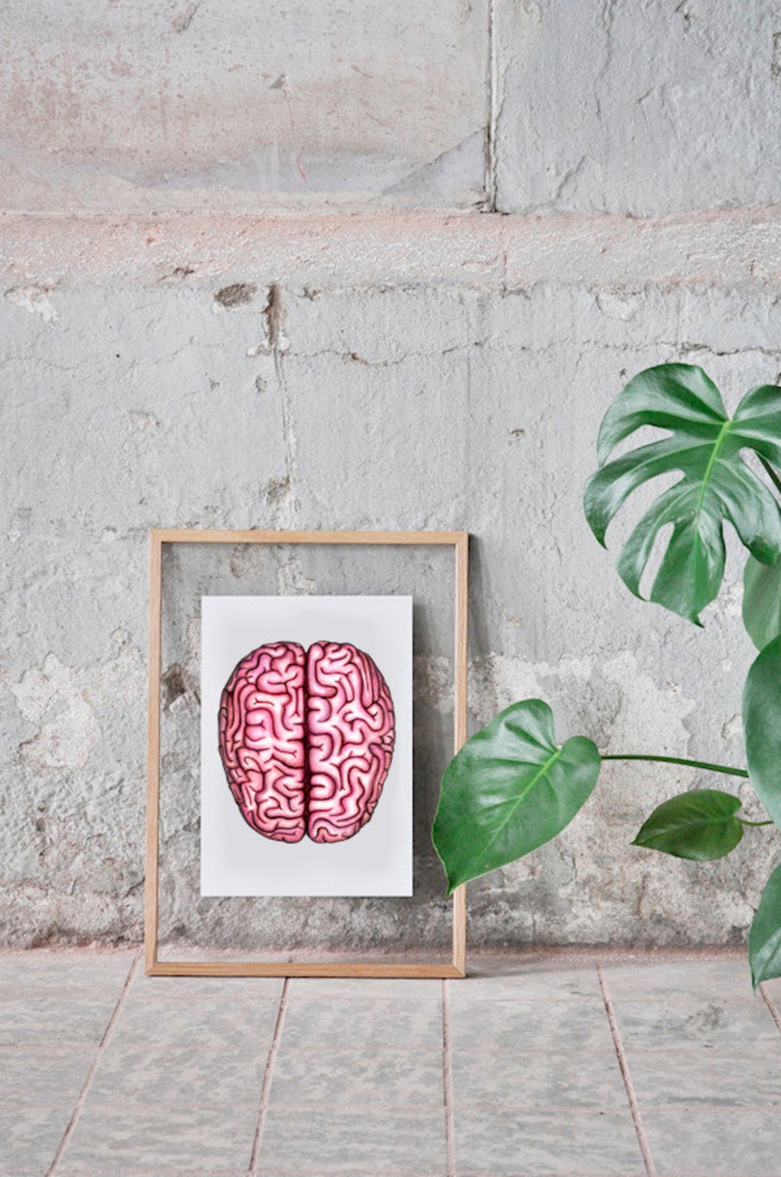 Human Brain Anatomy Print: Anatomical Poster Watercolor Art - Etsy