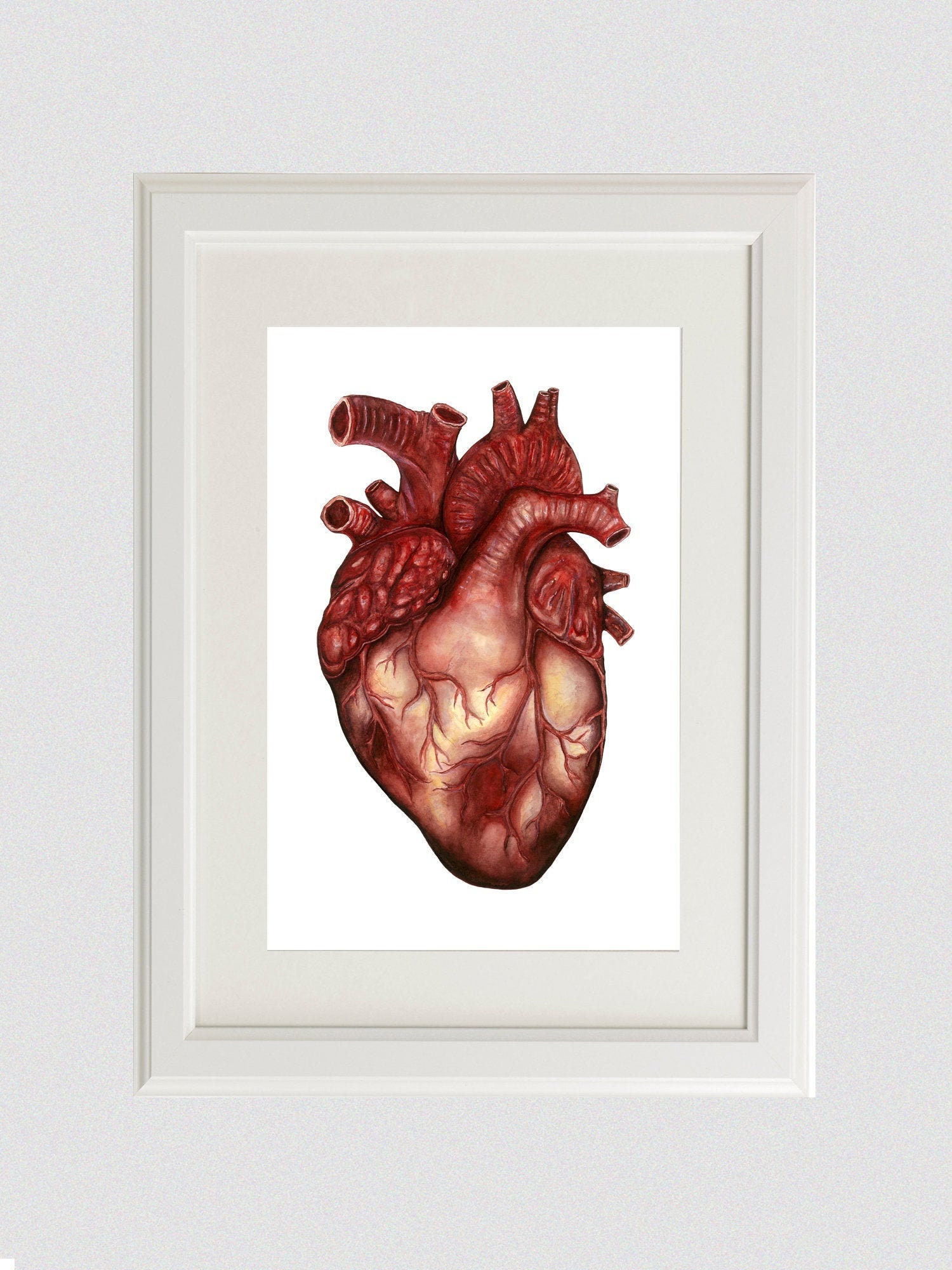 Human Heart Anatomy Print: Anatomical Poster Watercolor Art | Etsy